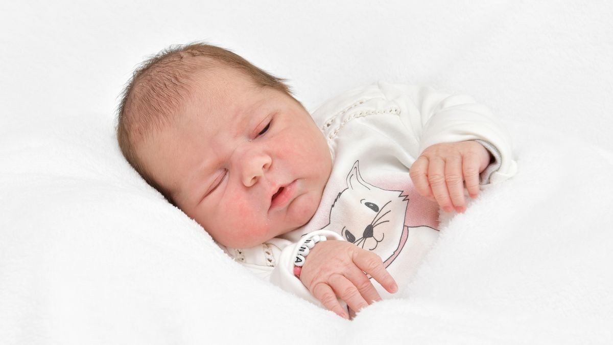 Stephanie Geier's Instagram, Twitter & Facebook on IDCrawl