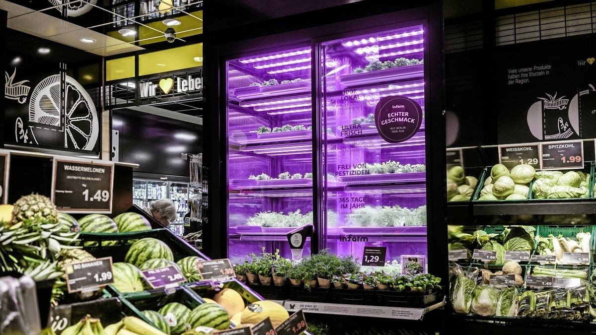 Infarm - Die Kräuterkammer der Zukunft kommt aus Berlin