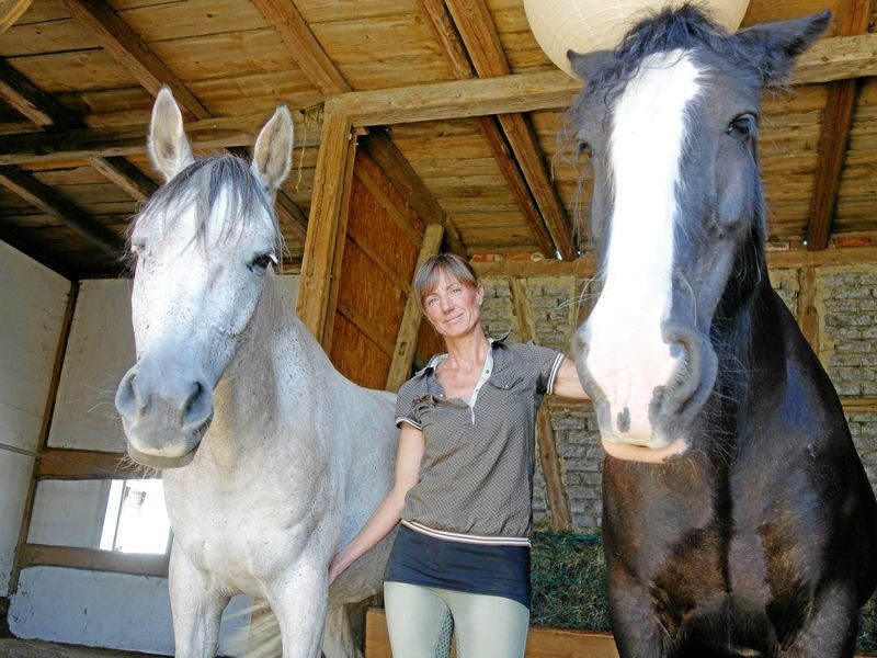 Heyda: Therapie für Pferde mit Depression und Traumata