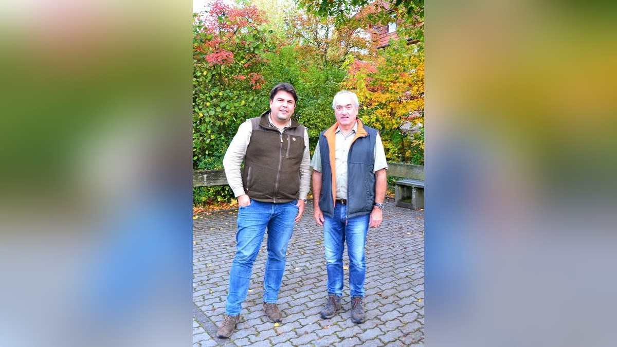 Borkenkäfer-Plage bedeutet für Marsberg finanzielles Minus