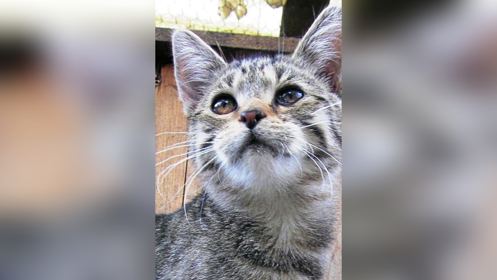 Sarah und Bodo suchen Anschluss