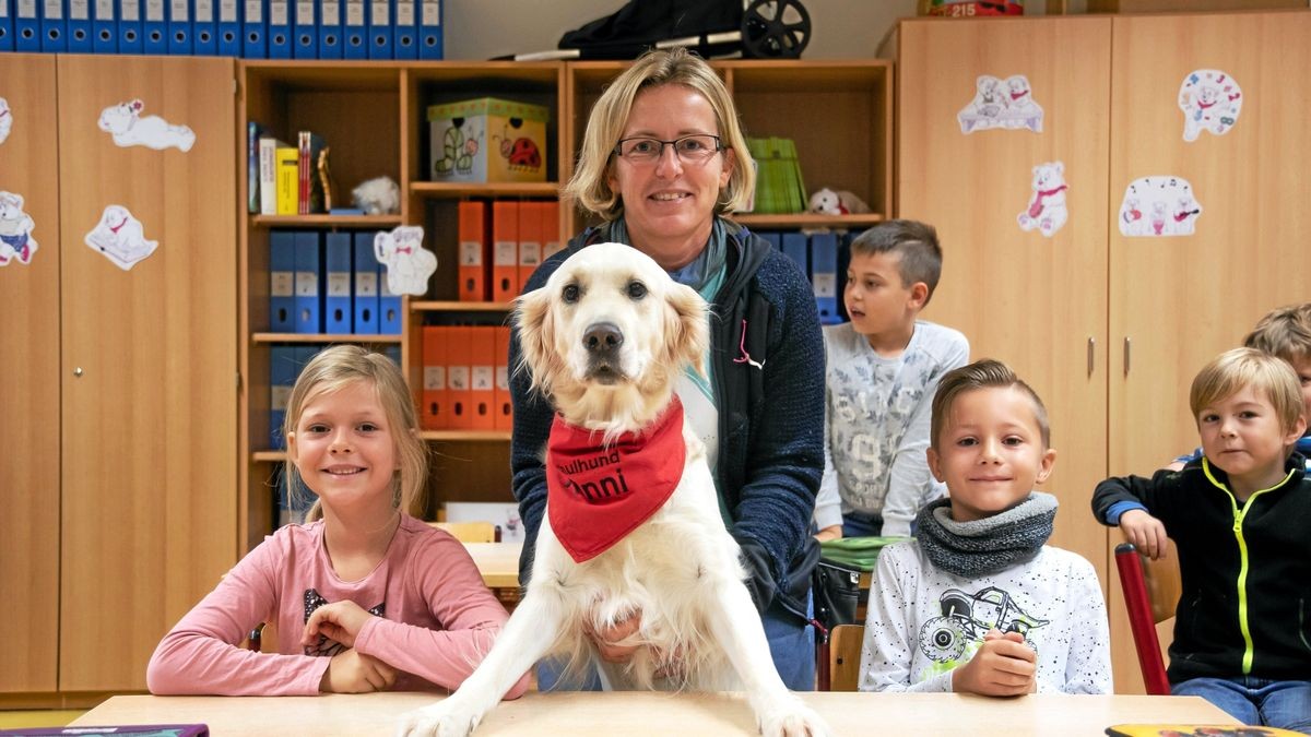 Unterricht mit Hund in Warza