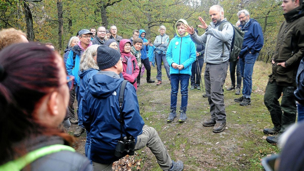 Revierleiter zeigt bei Exkursion nahe Eisenach Waldschäden