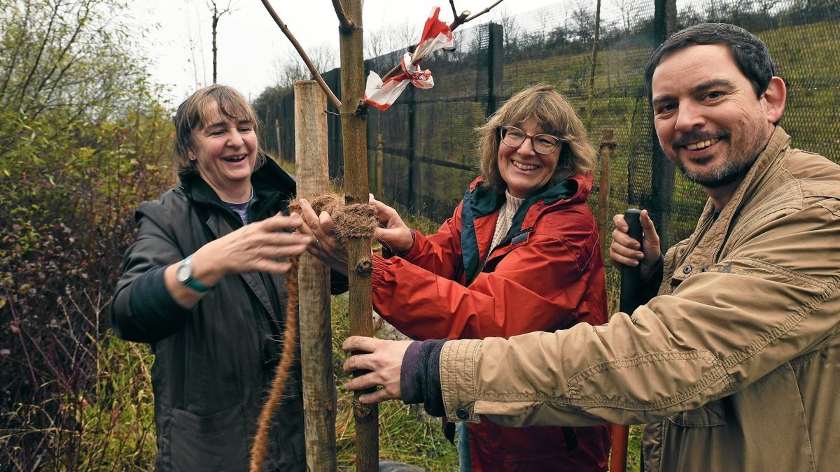 Ifta: Neue Bäume am früheren Todesstreifen