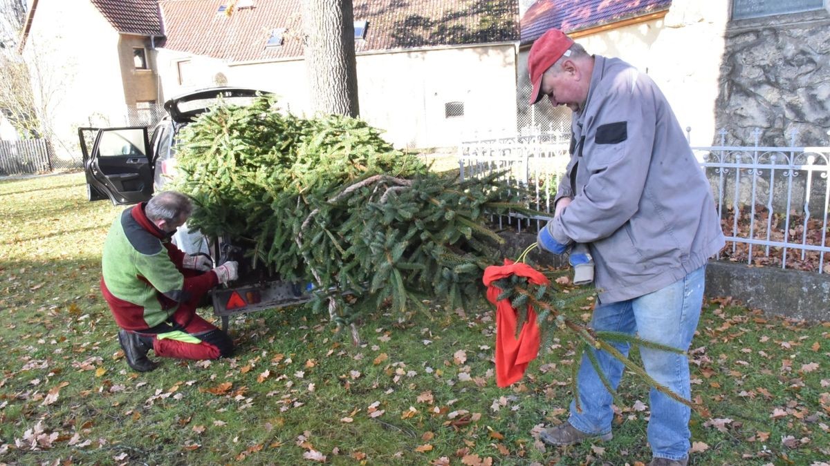 Wie Göttern zu seinem Weihnachtsbaum kam