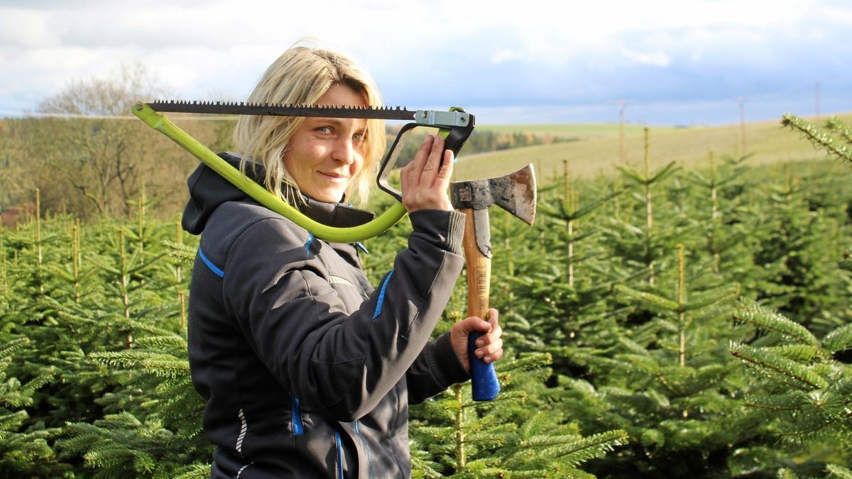 Erstmals Bäume zum Selbstschlagen in Wilhelmsdorf