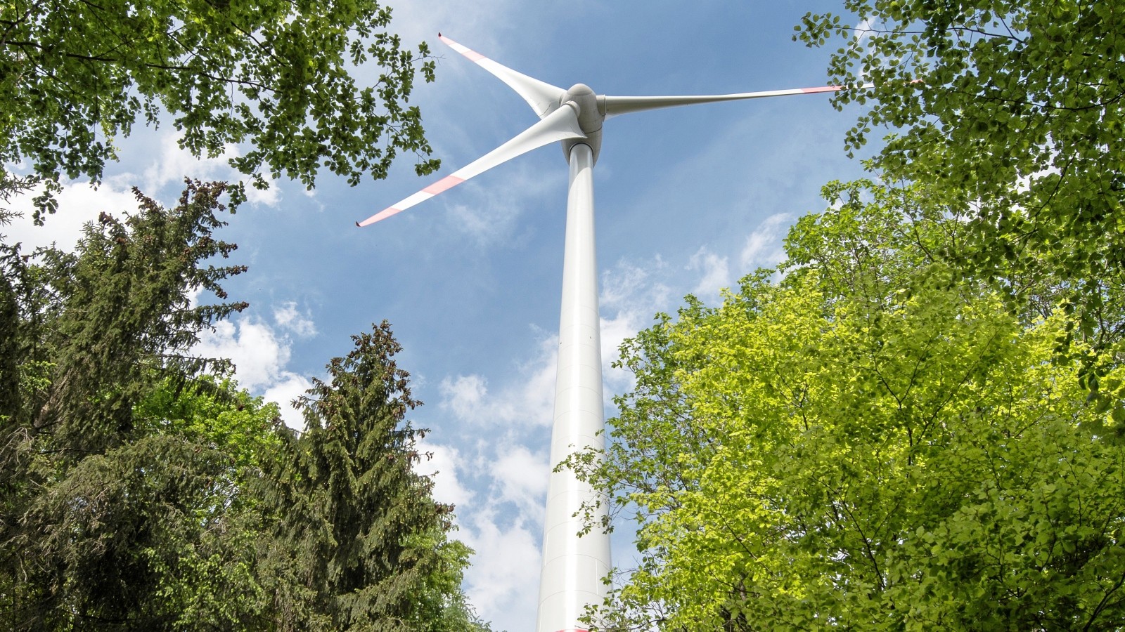 Peter Liese: Was der Green Deal für Südwestfalen bedeutet