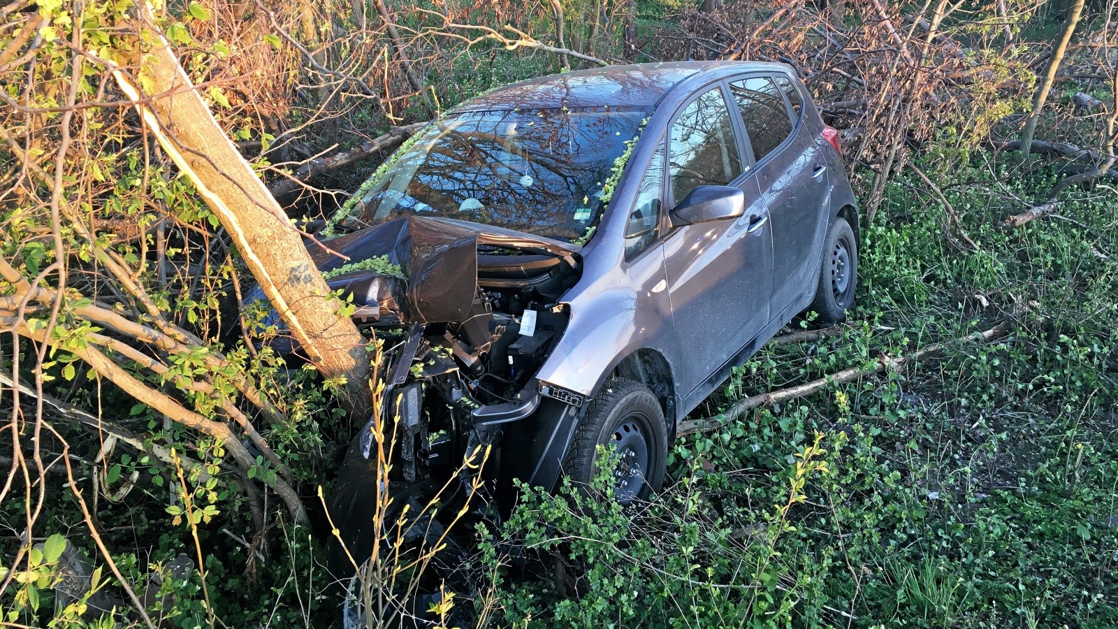 65-Jähriger fährt gegen Baum
