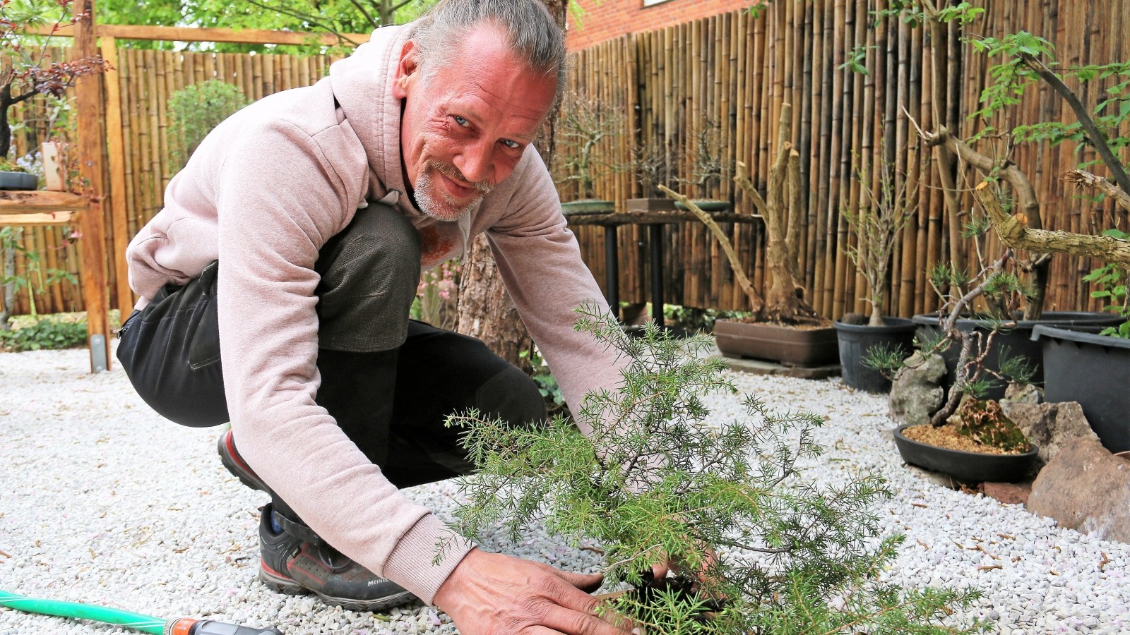 Jens Ringe aus Geesthacht hört sich an, was der Baum will