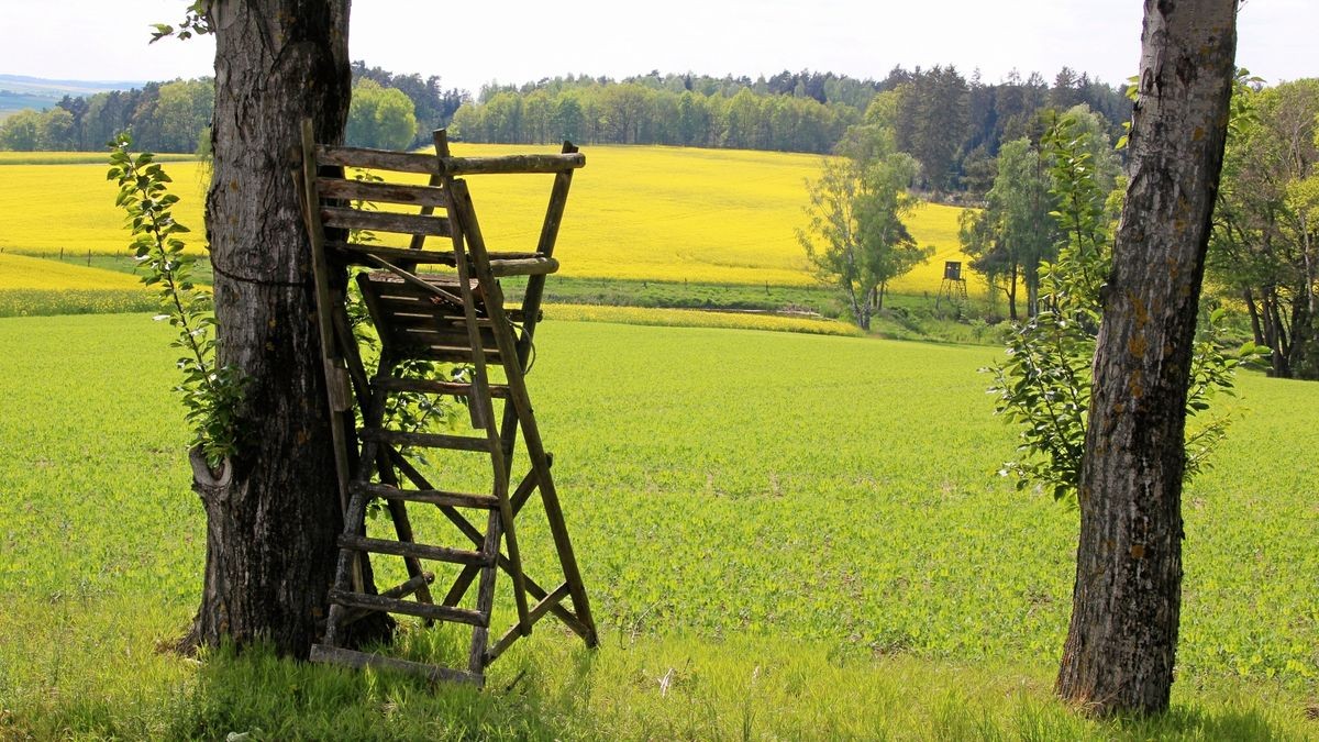 Typologie der Jäger-Hochsitze im Orlatal