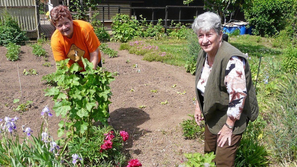 Die Beete am liebsten fadengerade