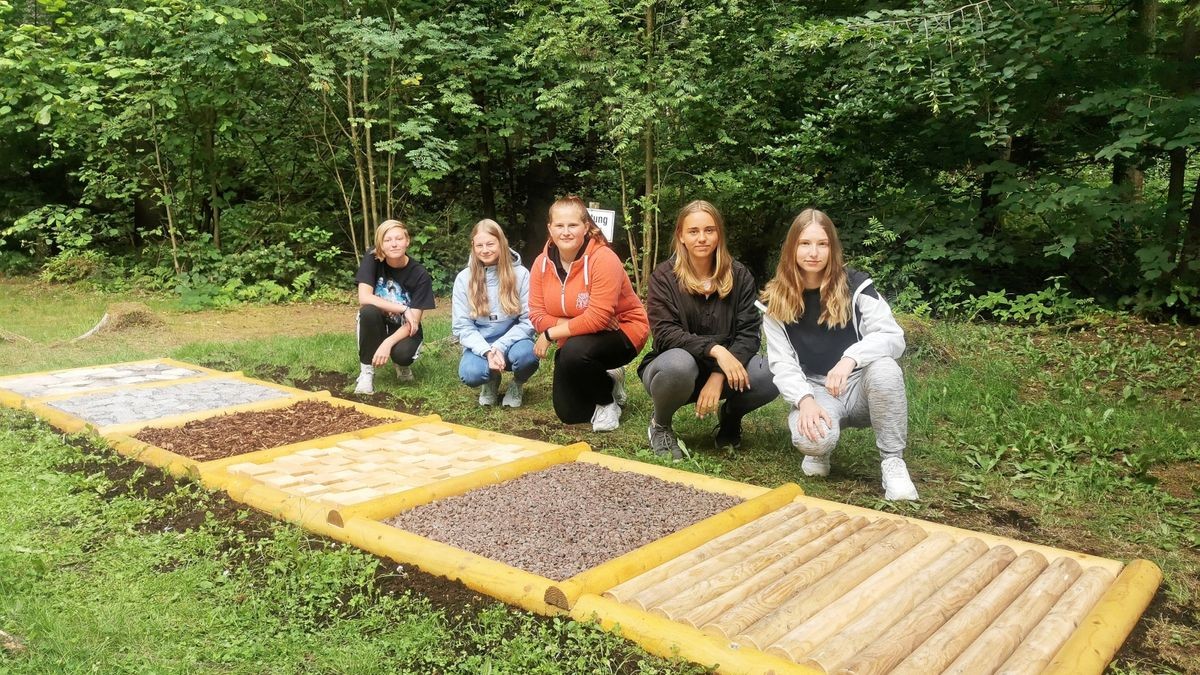 Eine Attraktion mehr im Waldspielplatz im Zeitzgrund