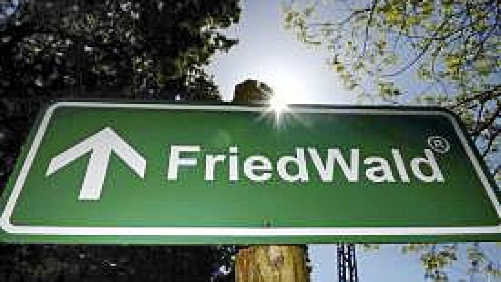 Nächste Führung durch den Friedwald