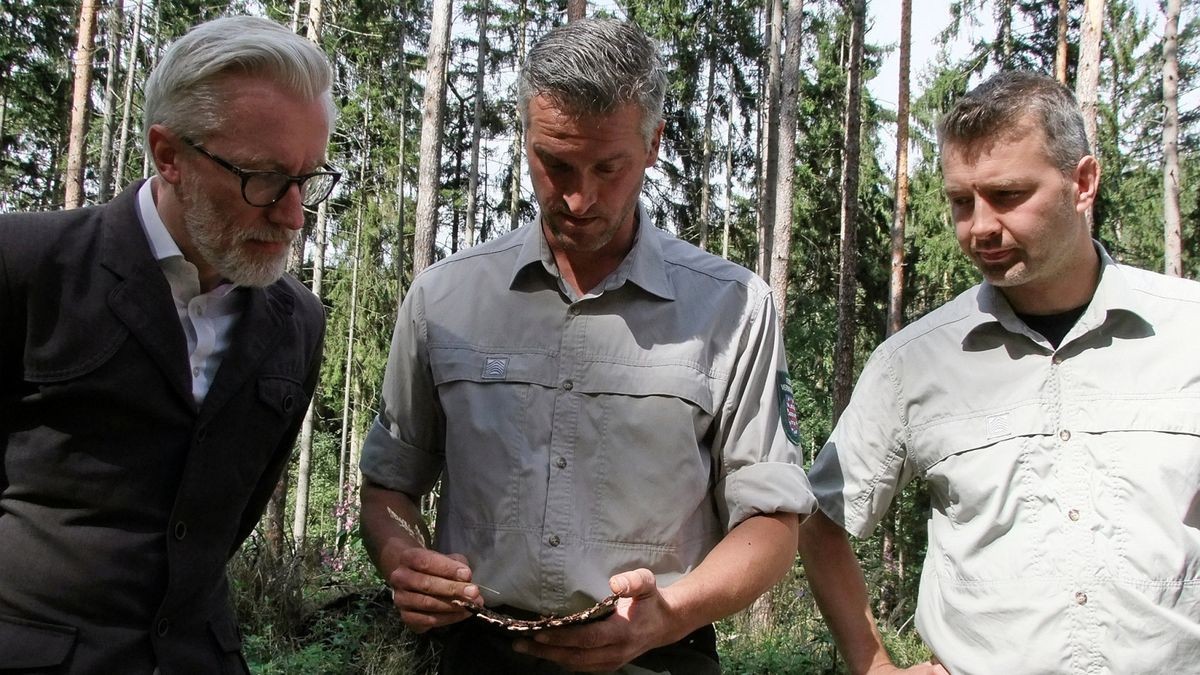 Stadtroda: Stippvisite auf der Großbaustelle Wald