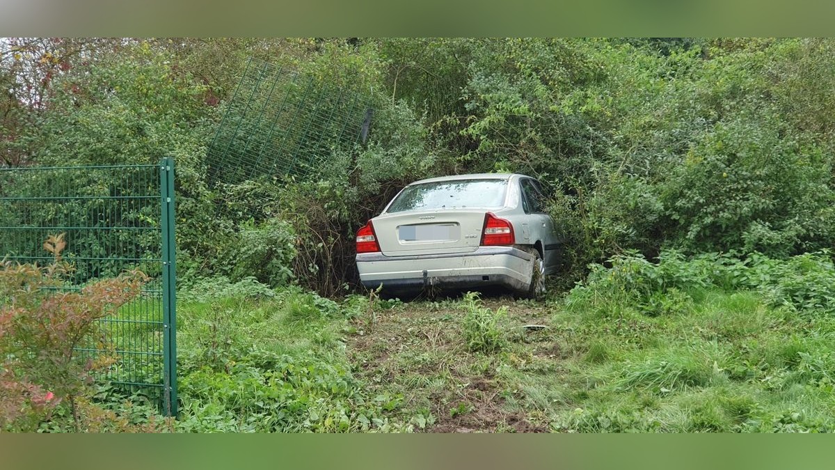 Mit Auto gegen Zaun gefahren - Fahrer gibt Waschbären die Schuld