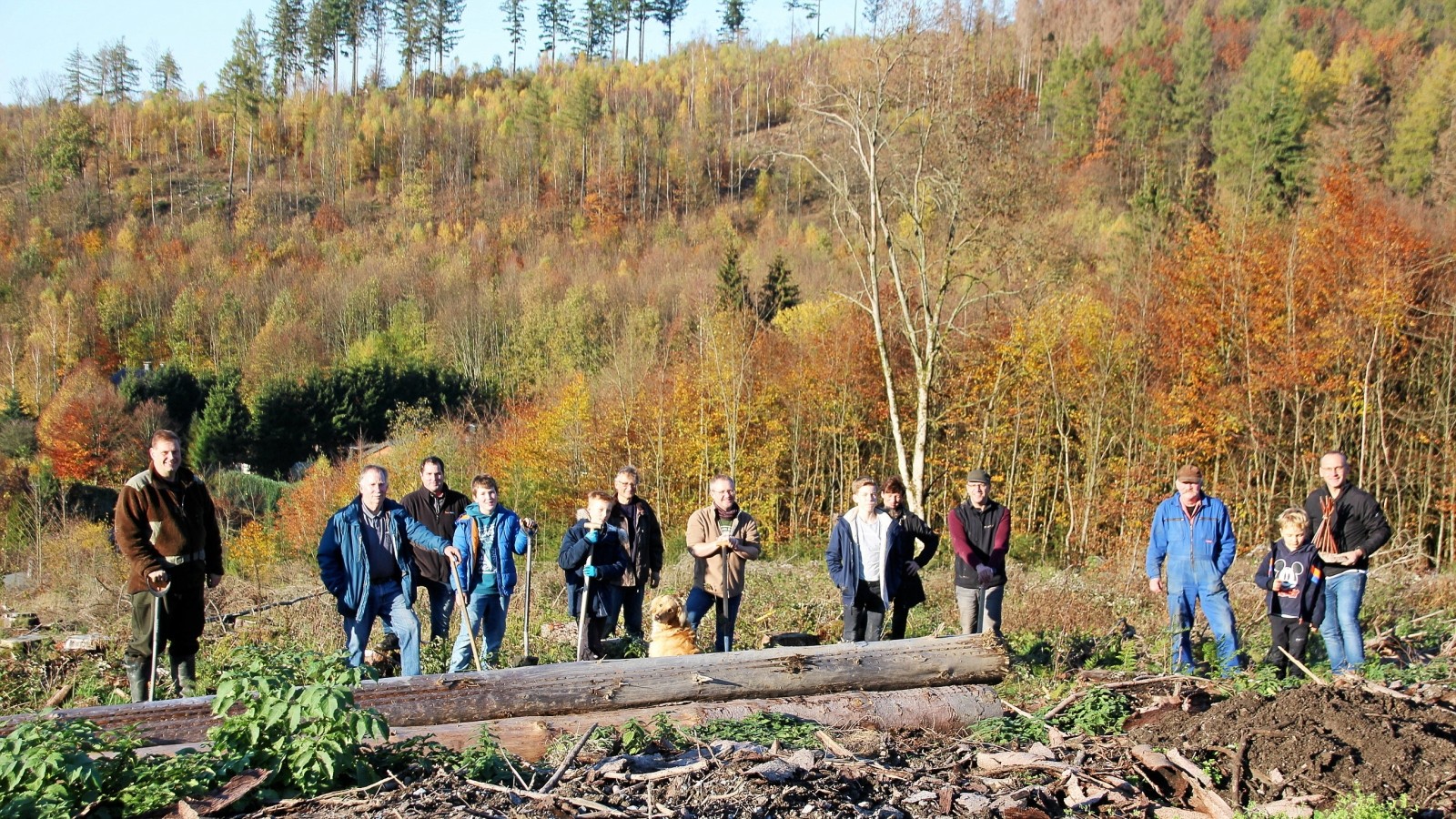 Brilon: Darum pflanzt die Firma Kaefer 75 Bäume