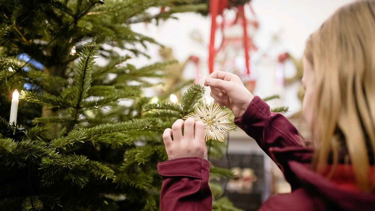 Weihnachten in Essener Kinderheim: Wo Leid zu Freude werden kann