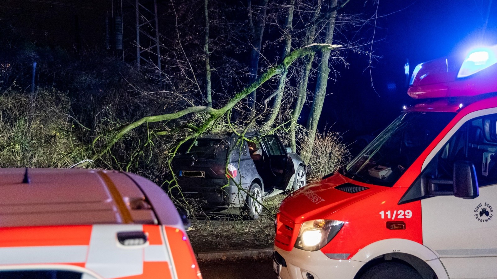 Essen: BMW rast gegen Baum - eine Schwerverletzte