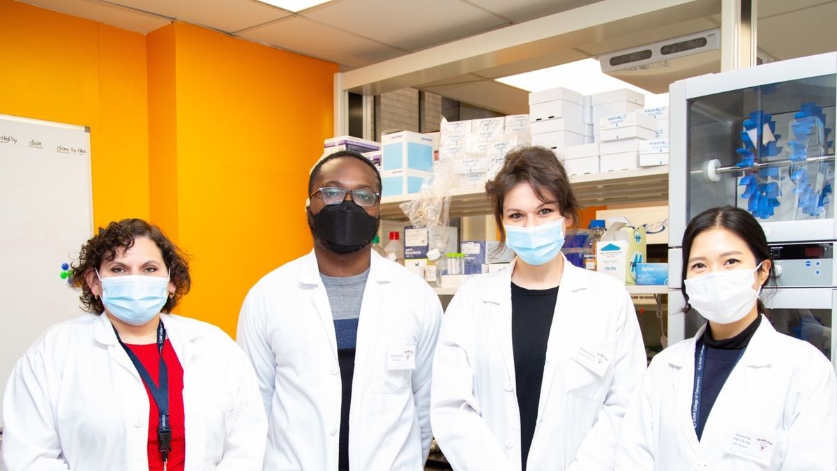 Manhattan in Coronazeiten menschenleer wie Hirschberg halb vier