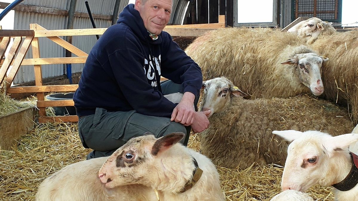 Uedem: Schöne Momente mit Schneelämmern und Flaschenkindern