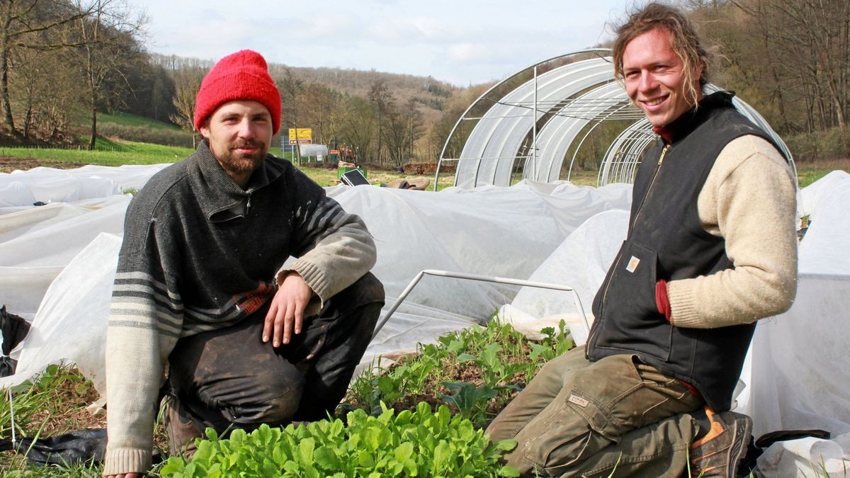 Das erste Gemüse in Dietzenrode wird Mitte Mai geerntet