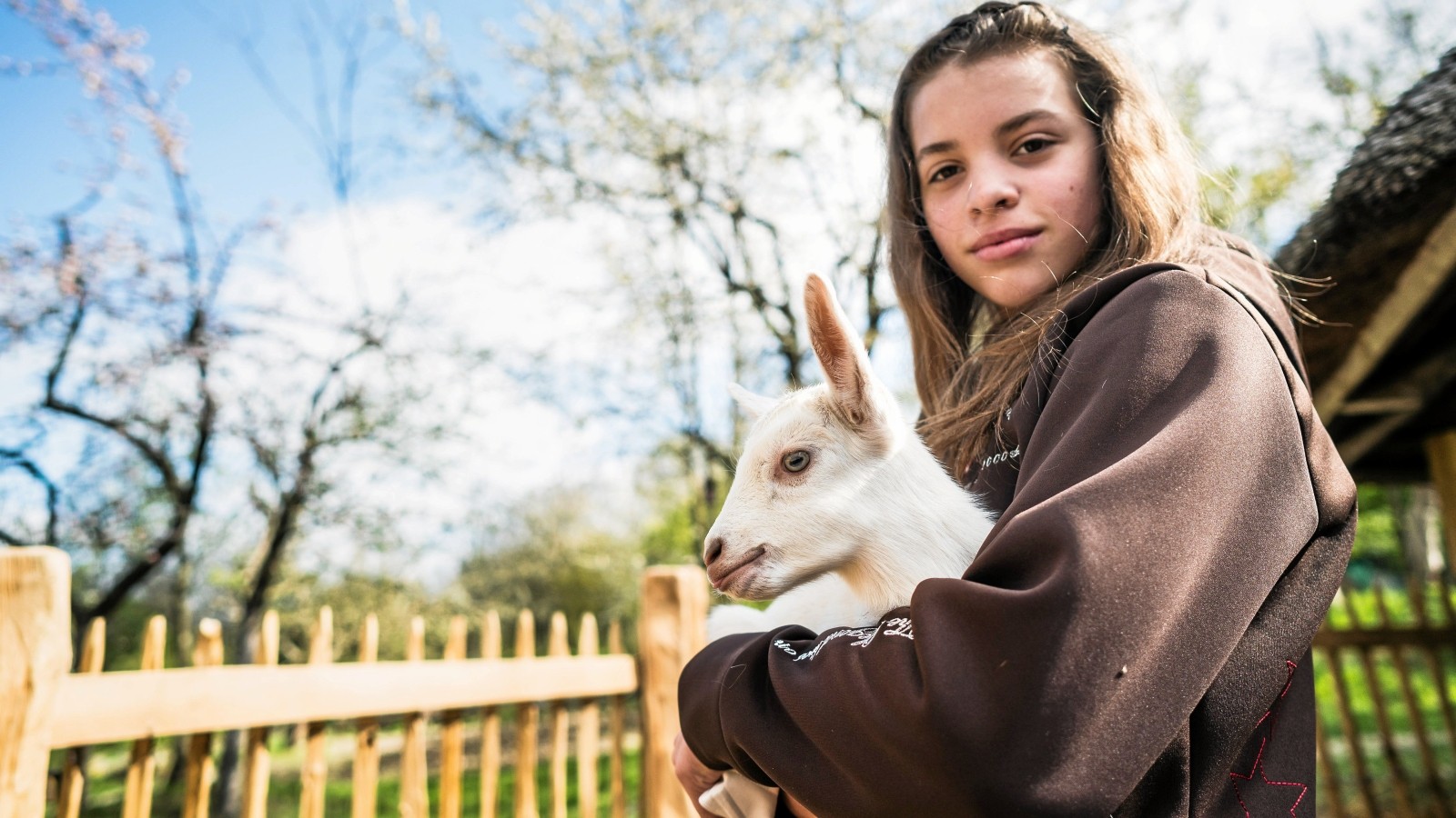 Widar-Schule in Wattenscheid hat zwei tierische Attraktionen