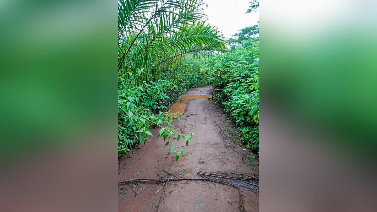 Immerzu auf Achse: Sascha Grabow erkundet seit 37 Jahren die Welt