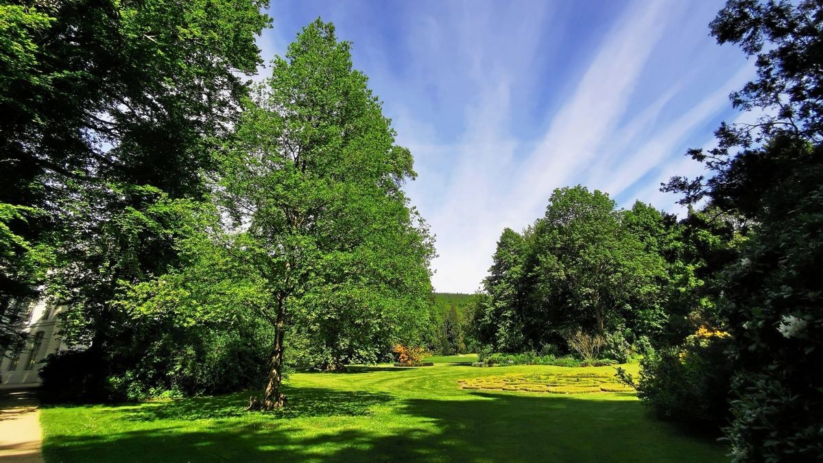 Führung durch den Greizer Park