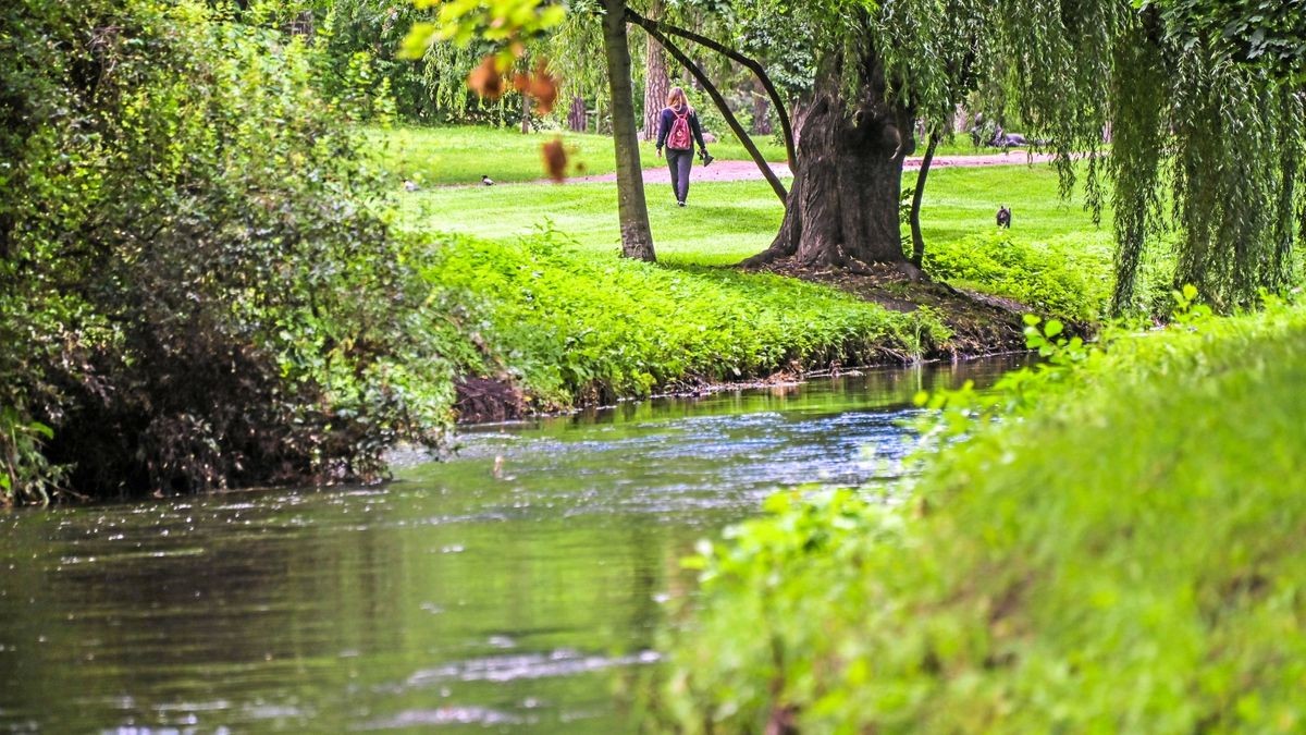 Schutz vor Starkregen: So wird die Panke jetzt neu gestaltet