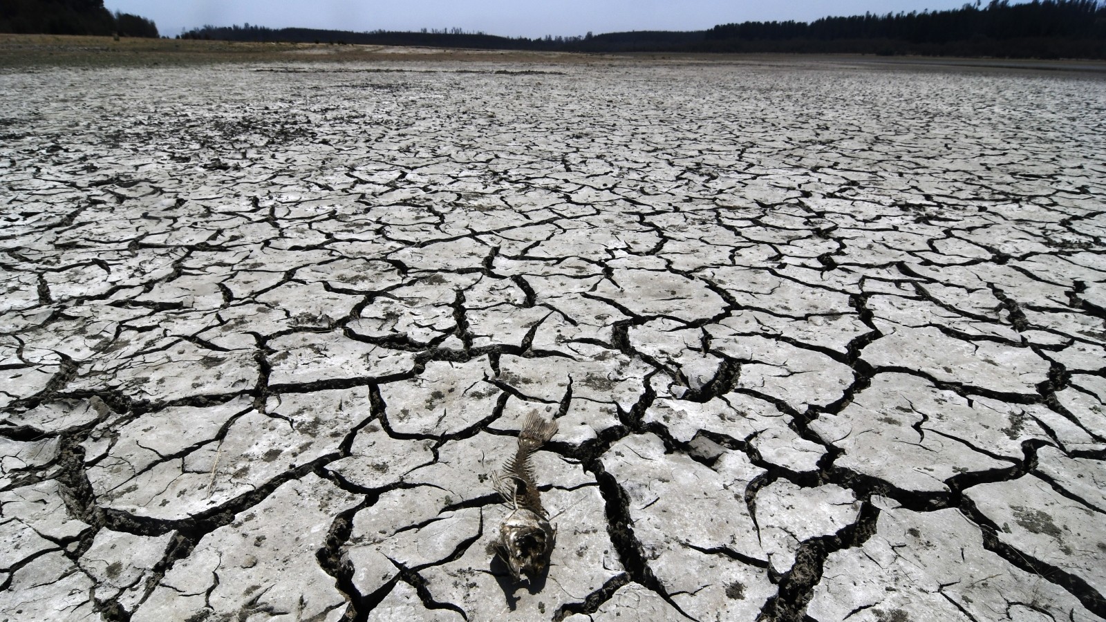 Klimawandel: Ursachen, Folgen, Lösungen - Was man wissen muss