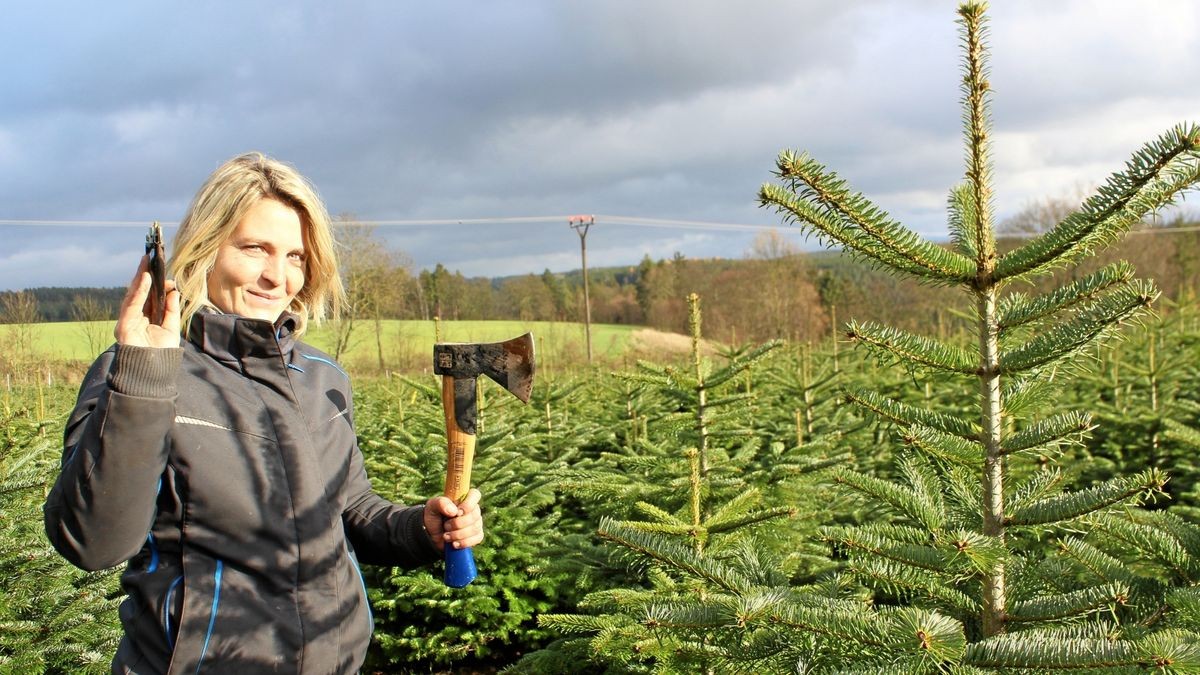 Nicole Bohn von Bohnis Christbaumwelt: Rinde am Baum nicht entfernen