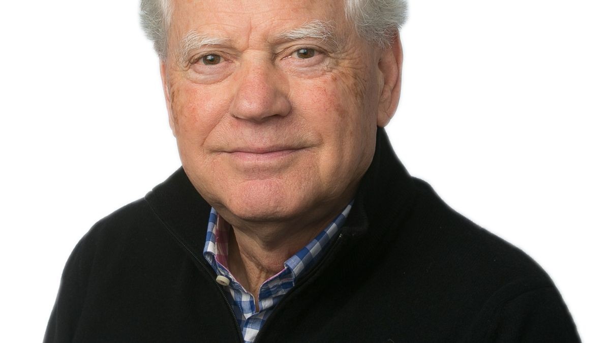 Der wohl älteste Baum Braunschweigs – Was hat er zu erzählen?