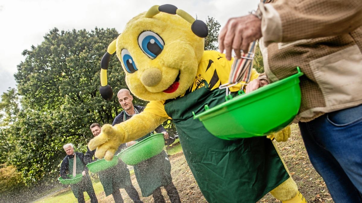Menden: BVB-Maskottchen Emma kommt zum XXL-Family-Day