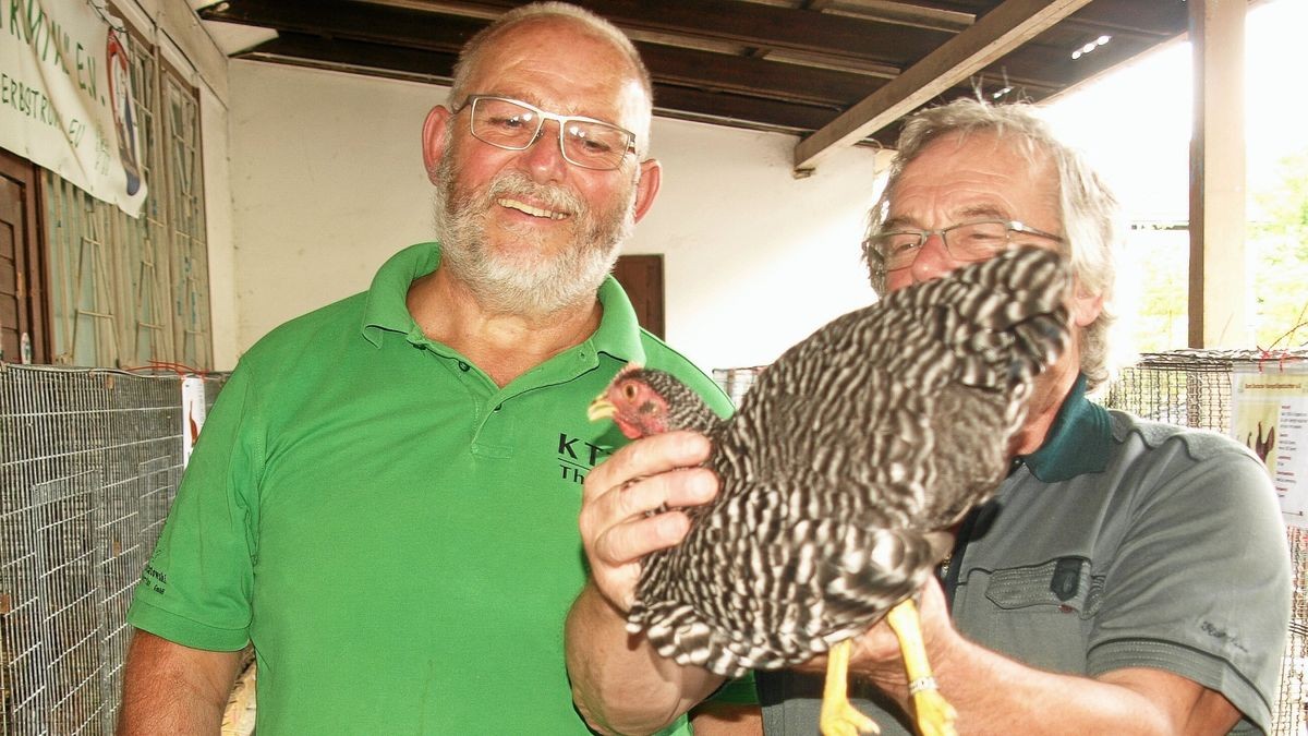 Interesse an der Rassezucht bei der jungen Generation wecken