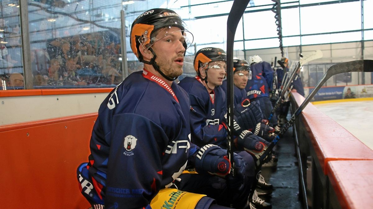 Eisbären: Berlin wird wieder Mauer-Stadt