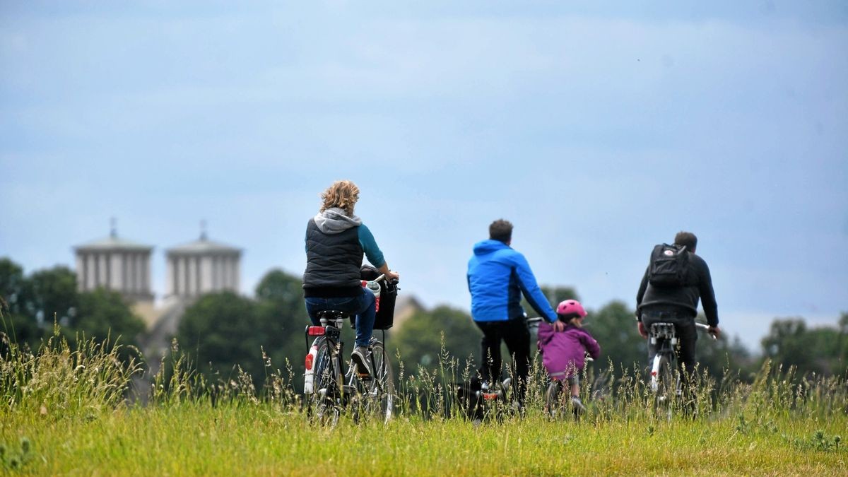 Radverkehrskonzept Rees: Kein Fahrradweg über die Deichkrone