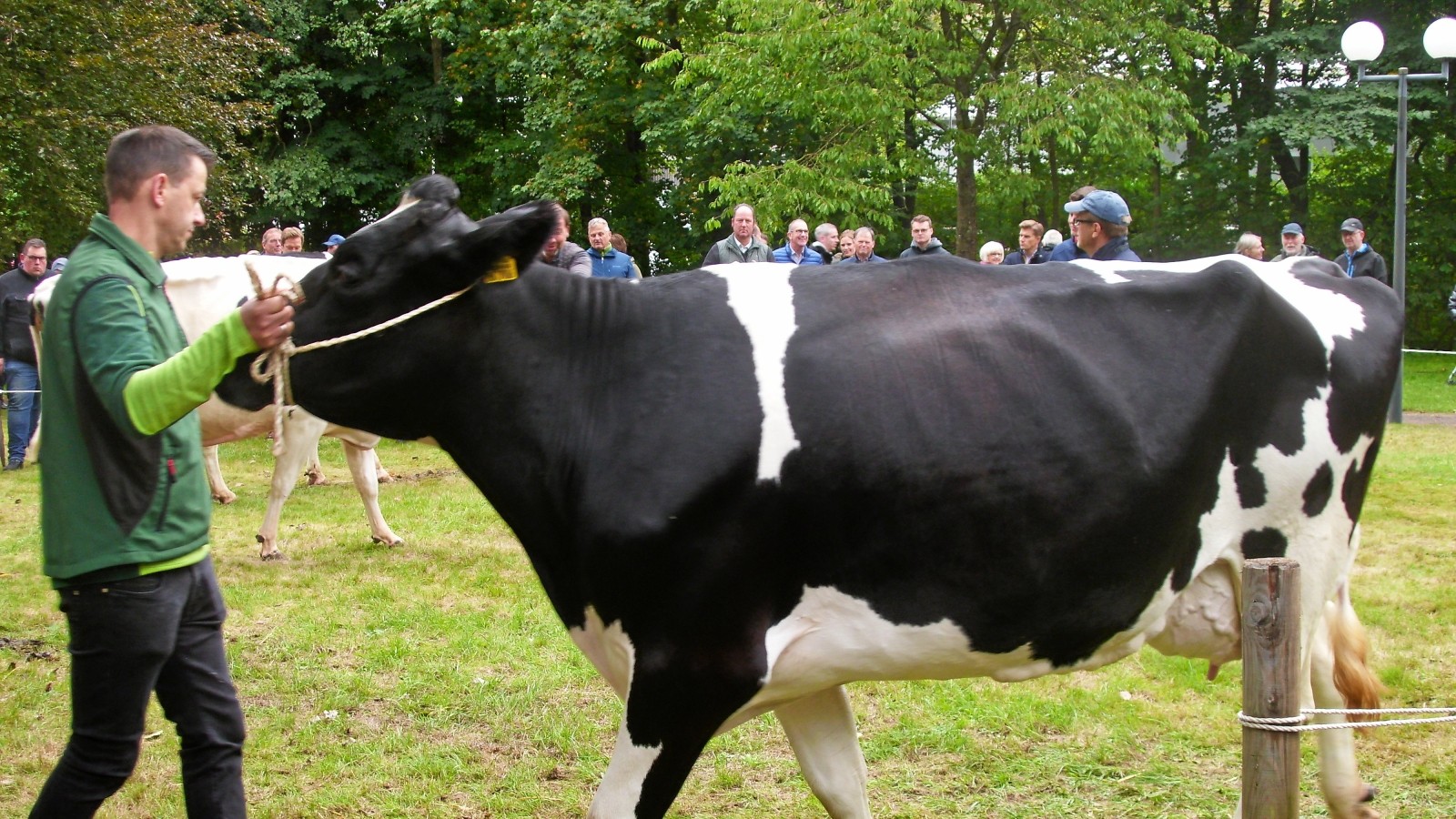 Erntefest in Drolshagen: Die schönsten Bilder