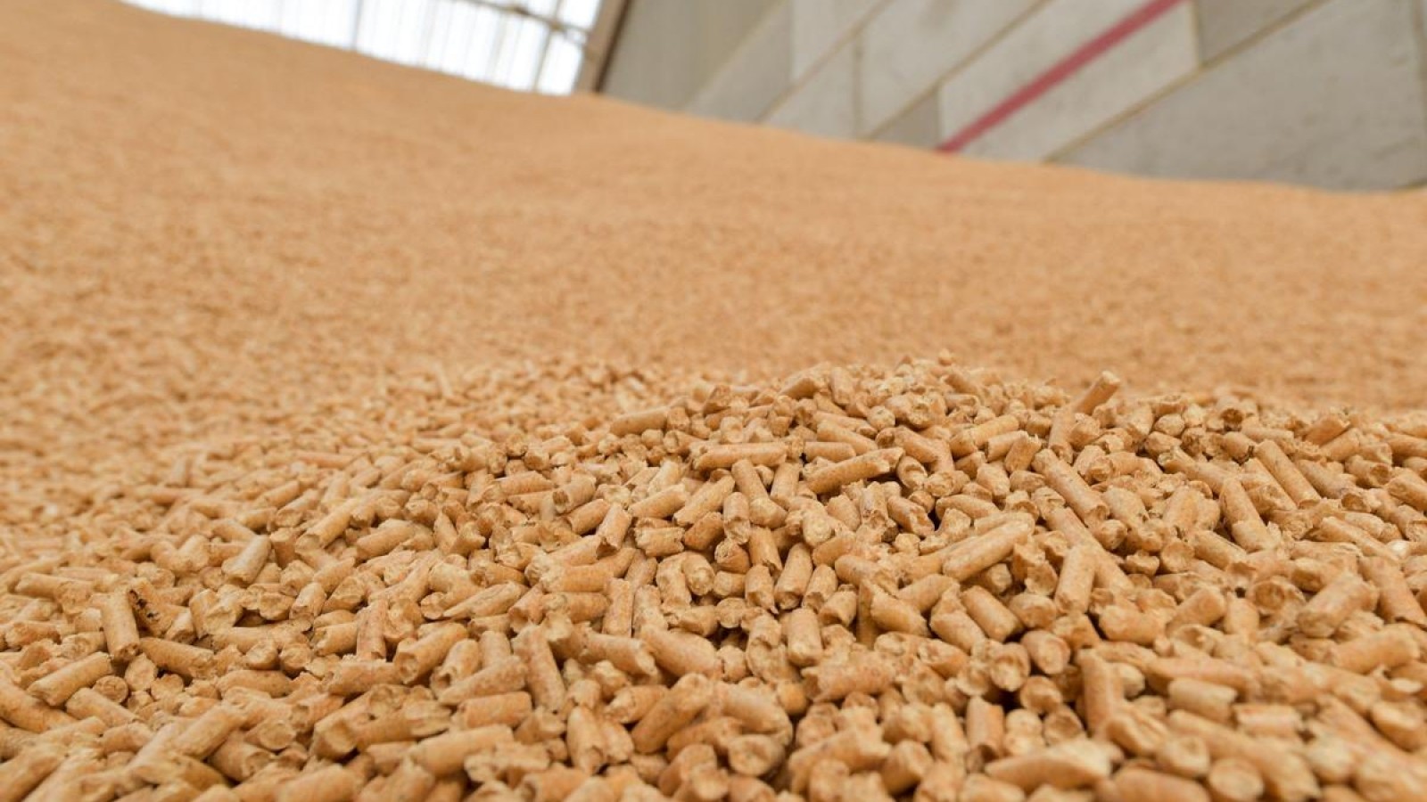 Pelletspreise: Preis für 1 Tonne Pellets vom 3. Oktober