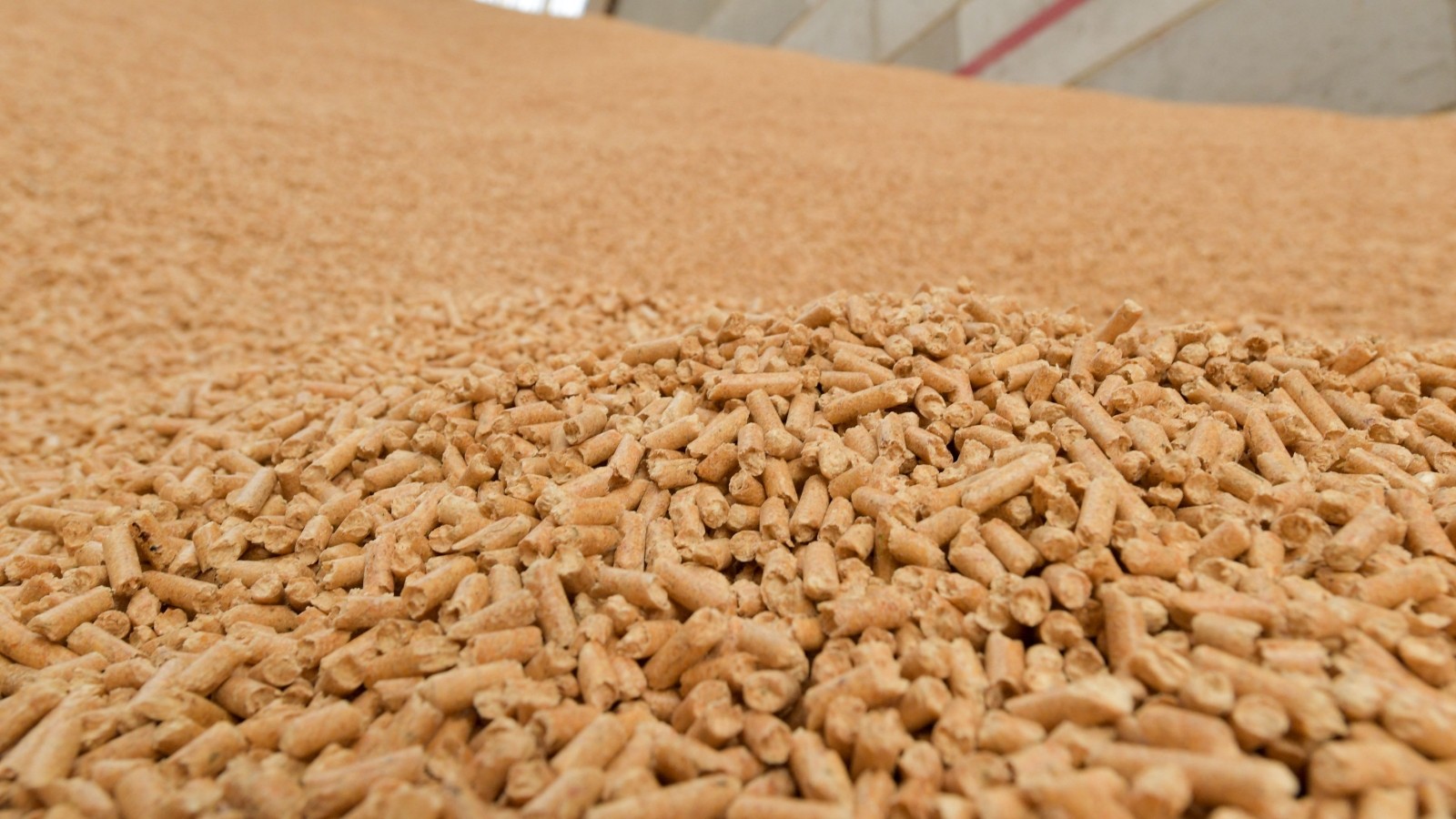 Pelletspreise heute am 9. Februar: Der aktuelle Preis pro Tonne Pellets