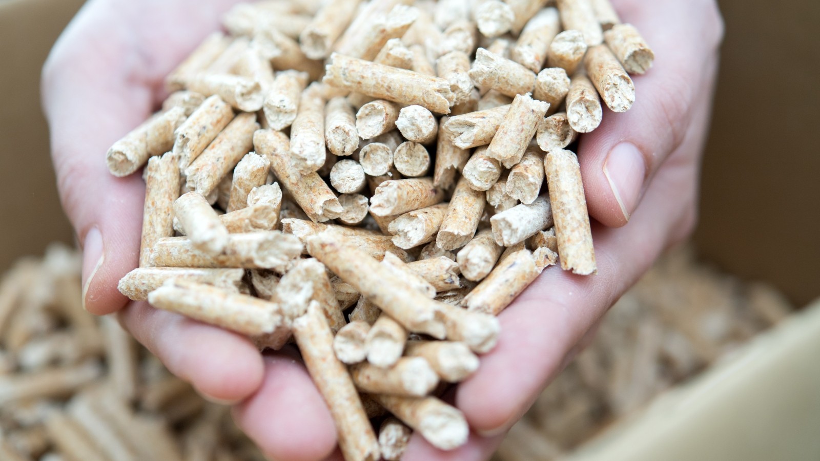 Pelletspreise: Der Preis pro Tonne Holzpellets am 1. November