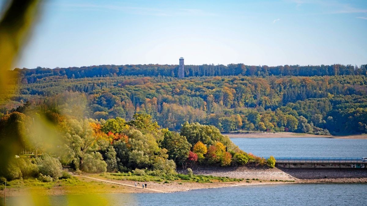 Die schönsten Bilder: So sieht Herbst in Südwestfalen aus