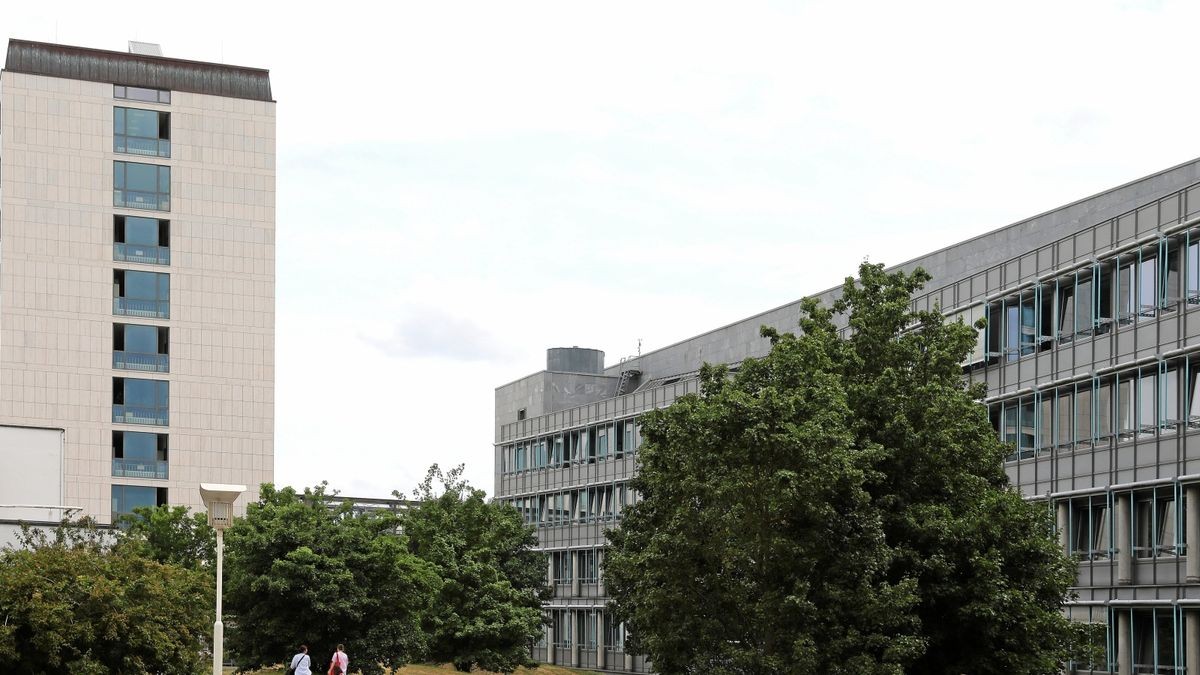 Stadt Wolfsburg besetzt diese Führungspositionen neu