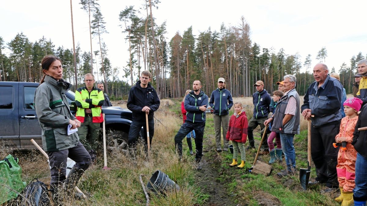 900 Bäume für eine Kahlschlagfläche bei Ottmannsdorf
