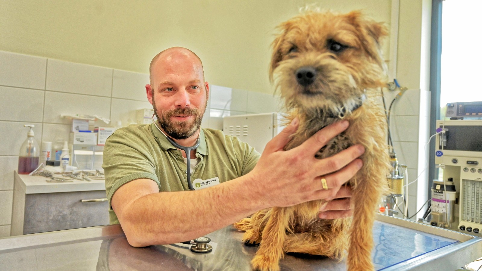 Emmerich: Tierarzt Simon Bach behandelt in eigener Praxis