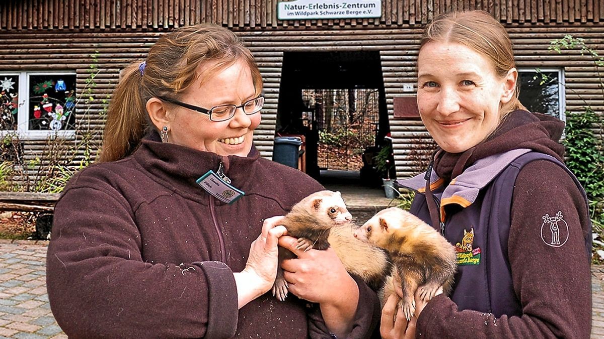 Tiere und Pflanzen zum Anfassen und Verstehen