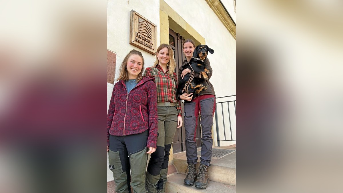 Ausbildung und Praktikum im Forstamt Marksuhl: Drei Frauen wollen ...