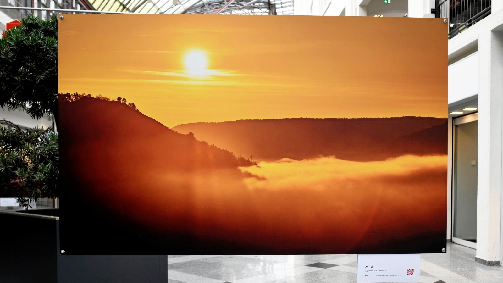 Jenzig bei Nebel: Erste Auktionen für Hospiz Jena enden