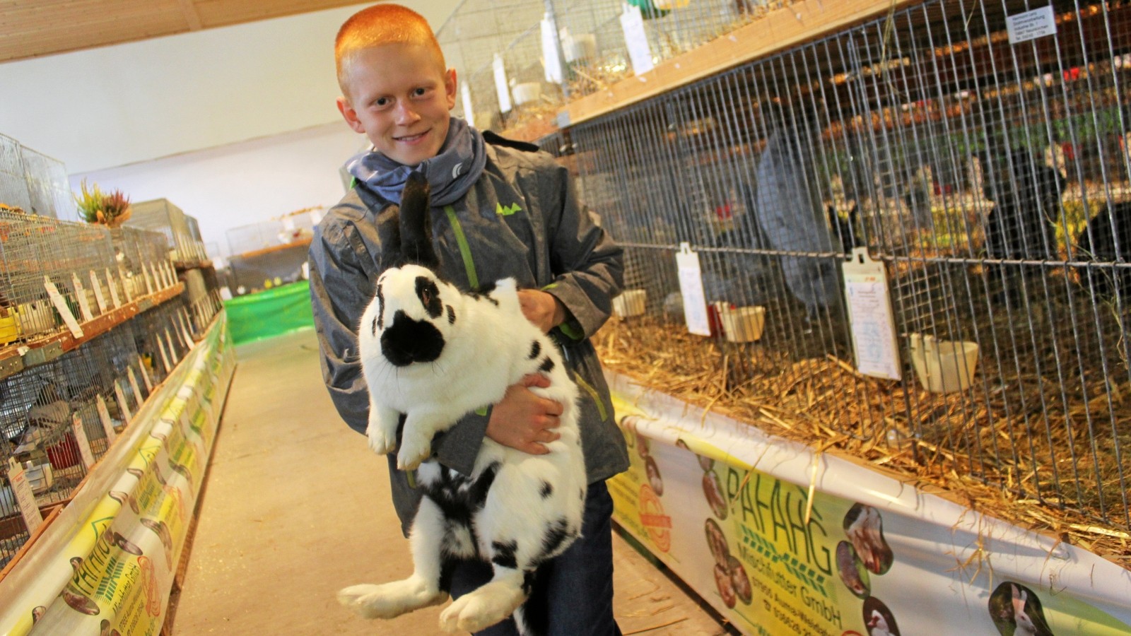 Junger Züchter zeigt alte Hasen mit viel Herzblut in Gefell