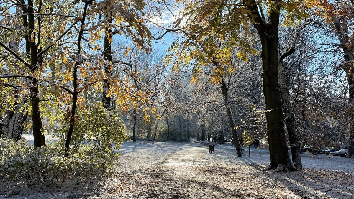 Der erste Schnee im Gothaer Schlosspark