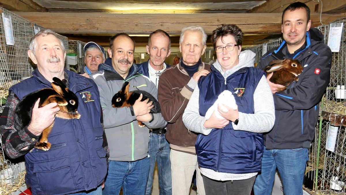 Erfolgreiche Kaninchenzüchter aus dem Kreis Nordhausen räumen Pokale ab